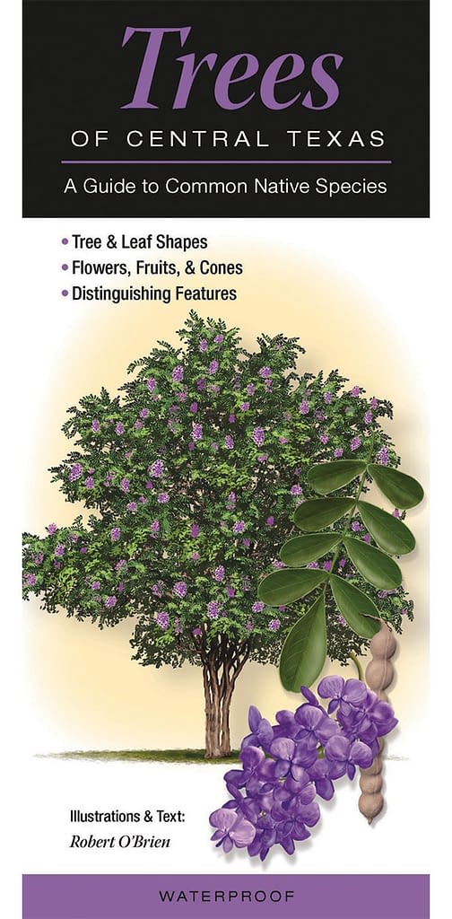 Texas Edible Plant Identification | 13th Aguayaam Guan | San Antonio Scouts
