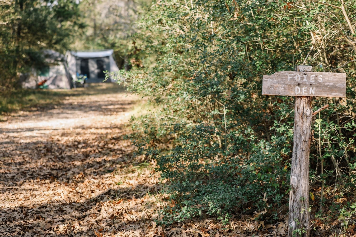 Texas Hullaballoo 2019 | 13th Aguayaam Guan | San Antonio Scouts