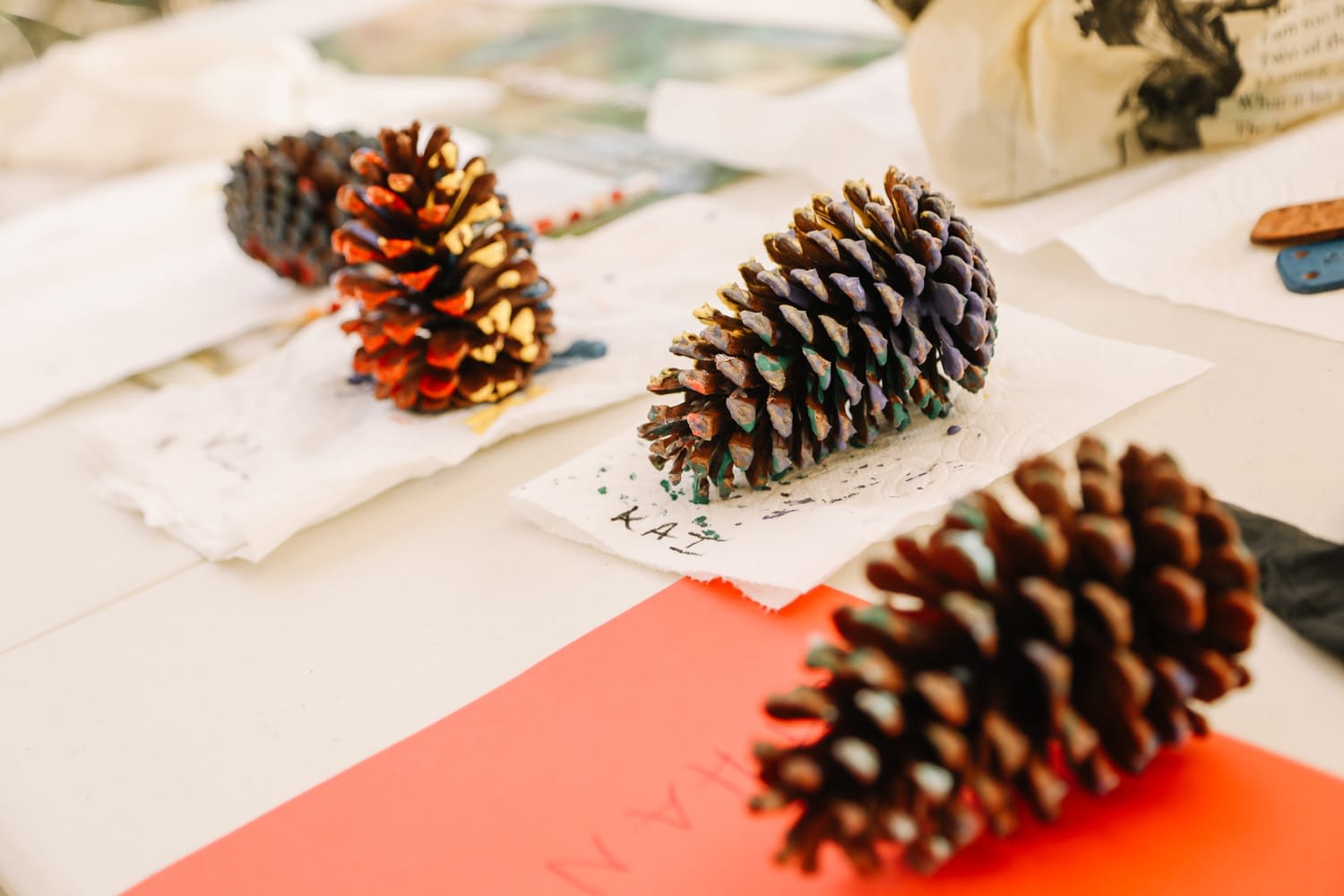 Texas Hullaballoo 2019 | 13th Aguayaam Guan | San Antonio Scouts